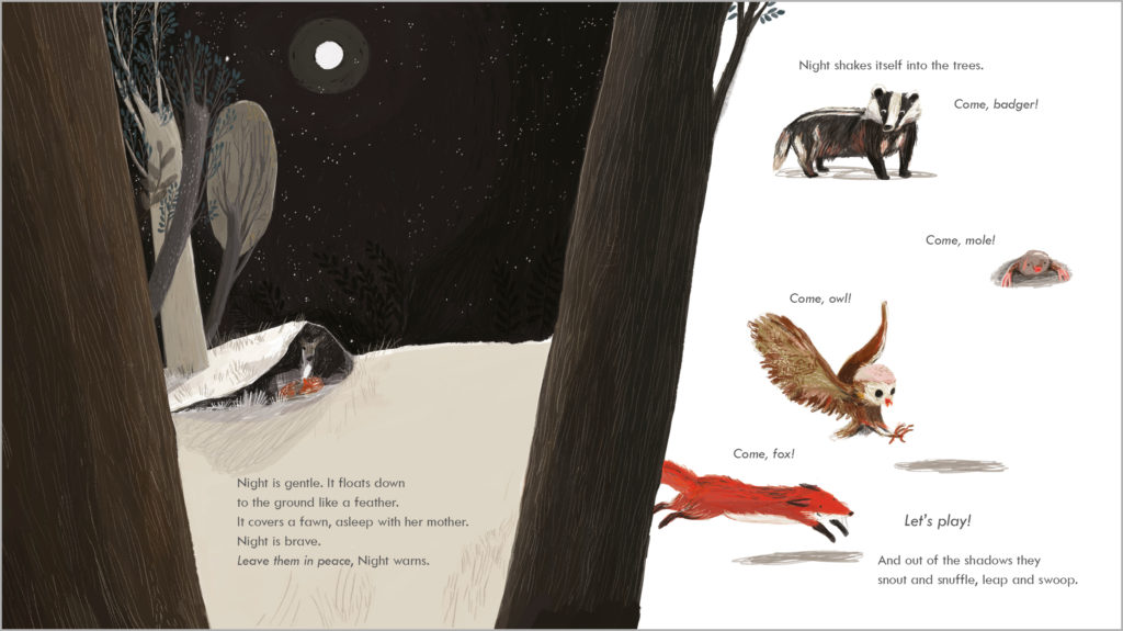 The Night Box – Illustrated by Ashling Lindsay – The Klaus Flugge Prize ...